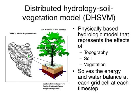 Ppt Forest Hydrology Powerpoint Presentation Free Download Id1298210