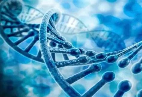 為什麼有的女性體毛旺盛，有的「光禿禿」？哪類人更健康？ 壹讀