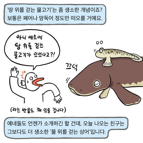 바다는모든걸바다줍니다 인스타툰 바다는모든걸바다줍니다 28 에폴렛상어 아니 근데 진짜 좀 강아지 닮지 않았어요 저만
