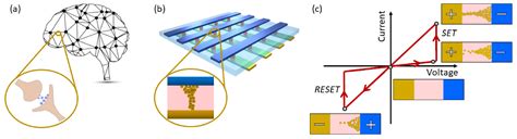 empa transport at nanoscale interfaces oxide based resistive switching memories for