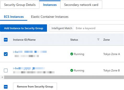 Manage ECS Instances In Security Groups To Control Inbound And Outbound Traffic Elastic