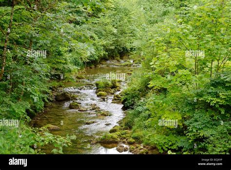 River Source