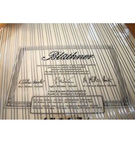 Bluthner Model 10 Reeder Pianos