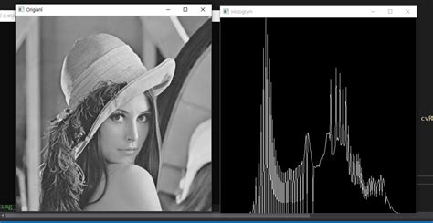 C Opencv 컬러 흑백 이미지 Histogram히스토그램