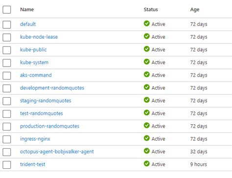 Feature Branch Environments With Kubernetes And Octopus Octopus Deploy