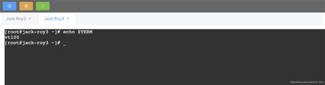 【xterm】解决xtermjs伪终端「vim无配色」问题xterm Addon Vim Csdn博客