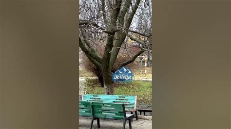 ДонецкБелочка в моем районе Youtube