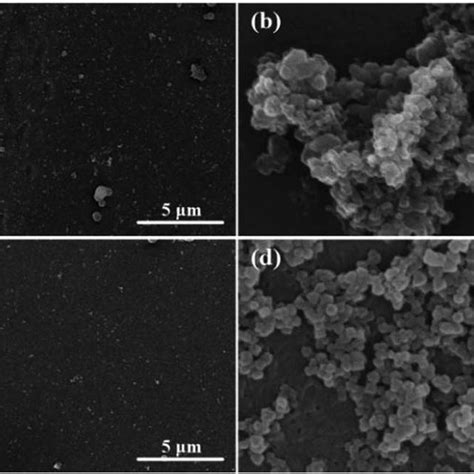 Ftir Spectra Of Tfc And Tfnuio 66 Nh 2 Membranes Download