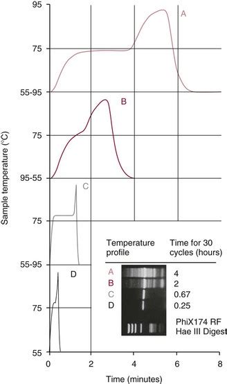 Nucleic Acid Techniques Basicmedical Key