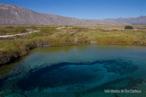 Monitoreo De La Cobertura De Suelo Biodiversidad Mexicana