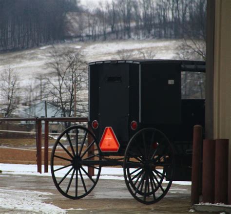 Amish Buggy In Winter Photograph By Dan Sproul