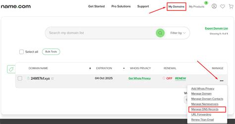 How To Create A Subdomain On Your Domain At Custom Domain Setup