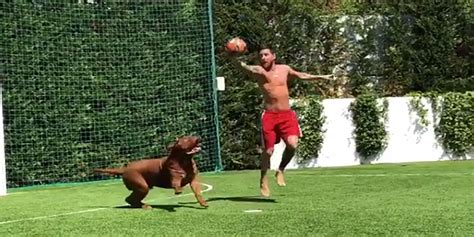 VIDEO Messi volvió loco a su perro Hulk a puros sombreritos