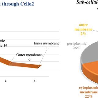 Sub Cellular Localization Quantitative Representation Of Sub Cellular Download Scientific