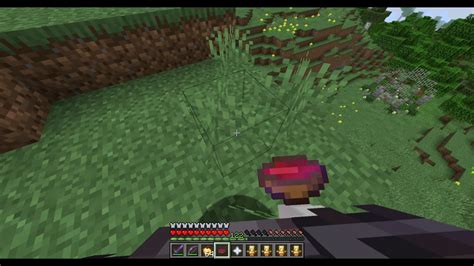 I Finally Finished My First Boss Datapack I Present To You Zafirah The Flawless You Can