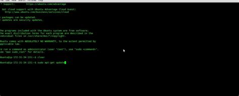 How To Install Cpanel On Vps Server