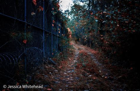 “seeking Asylum” Opens In Milledgeville Bobcat Multimedia