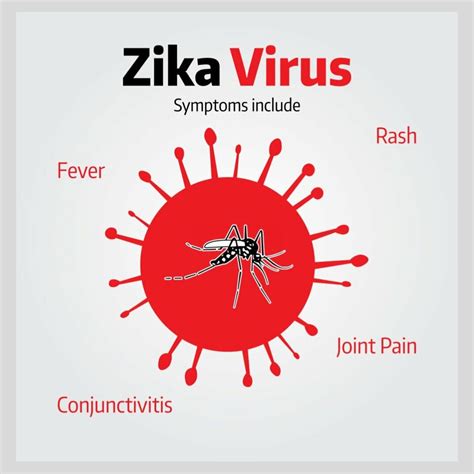 Understanding Symptoms Of Zika Virus