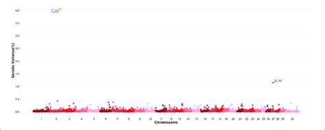 Manhattan Plot Showing Percentage Of Estimated Genetic Variance Download Scientific Diagram