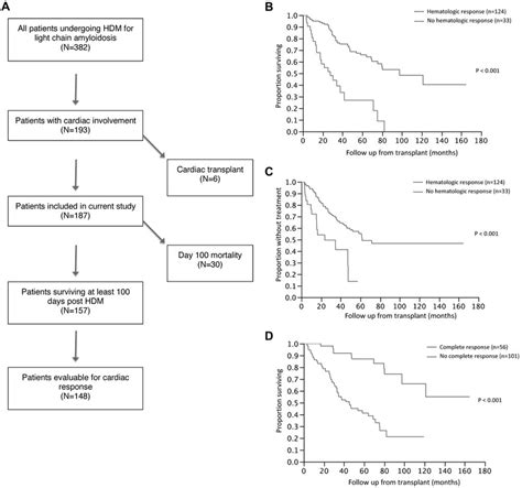 Patient Disposition And Impact Of Hematological Response On Overall