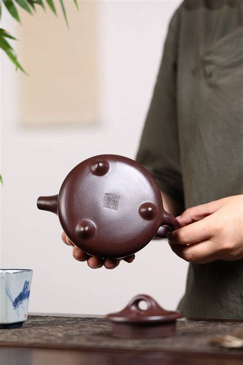 高石瓢沈遽华 江苏省工艺美术大师 原矿百目紫泥 550cc 宜人出品