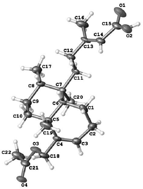 Ortep Diagram Of 18 Acetoxy Cis Cleroda 313e Dien 15 Oic Acid The