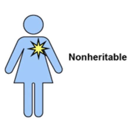 Genetics Exam DNA Mutations And Repair Flashcards Quizlet
