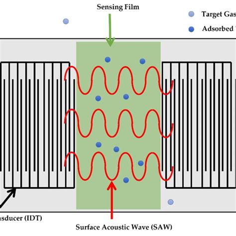 Surface Acoustic Wave Chemical Sensor Download Scientific Diagram