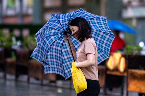 南沙区升级台风预警信号为黄色，“摩羯”将正面袭击雷州半岛