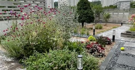 디자인온유onu 고수의 조경 공사 서비스 세종특별자치시 정안세종로 숨고 숨은고수