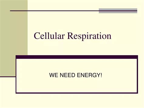 Ppt Cellular Respiration Powerpoint Presentation Free Download Id