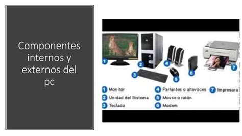 Elementos Internos Y Externos De Una Computadora La Cpu O