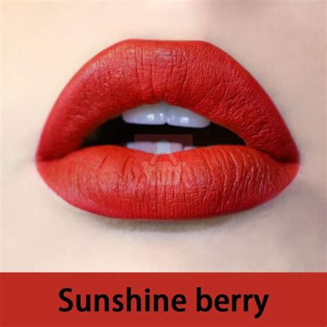 Lois Chloe 8 Hrs Long Lasting Liquid Matte Lipstick Sunshine Berry 5ml