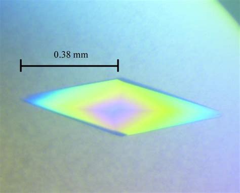 Iucr Crystallization And Preliminary X Ray Diffraction Analysis Of A