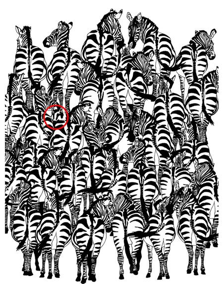 معمای پیدا کردن تصاویر مخفی تصاویر پنهان شده در عکس ها را پیدا کنید