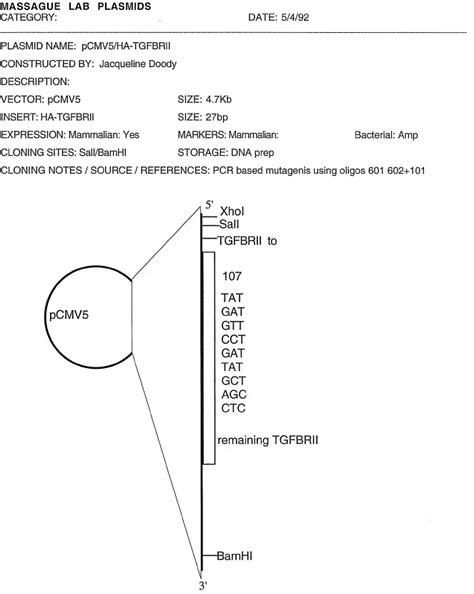 Addgene Pcmv5 Ha Tgfbrii