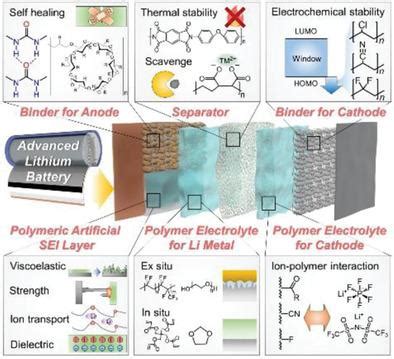 Advanced Materials X Mol