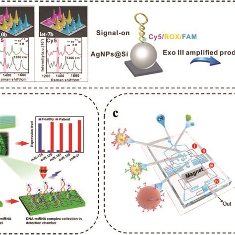 Spatial Multiplexing On Sers Microfluidic Systems A Separated Download Scientific Diagram