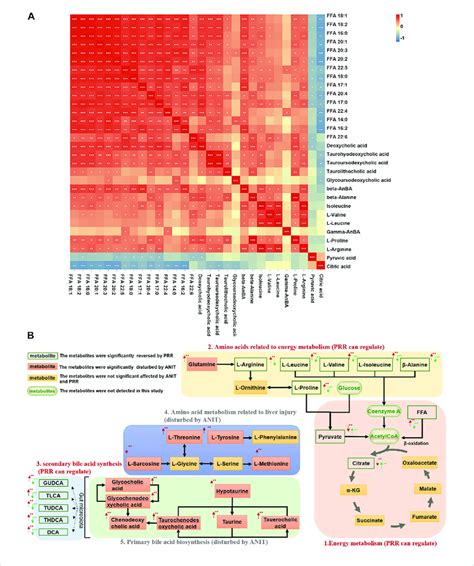 Associations Among Metabolites Reversed By Prr A Correlation