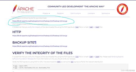 虚拟机ubuntu安装hadoop（伪分布式安装） Csdn博客