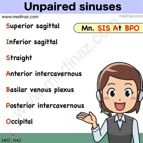 Anatomy Mnemonics And Tips Best Way To Remember Anatomy Cranial
