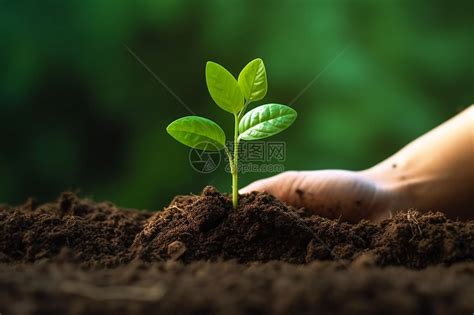 生态之美高清图片下载 正版图片600772203 摄图网 生态之美高清图片下载 正版图片600772203 摄图网