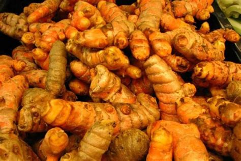 3 Bahan Herbal Untuk Obat Penyakit Asam Urat Ajaib Jogja