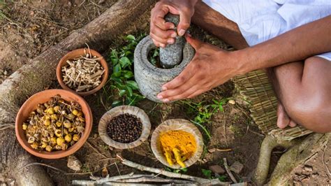 Ayurvedic Tips ফাস্ট ফুড দেখলেই খিদে খিদে ভাব তৈরি হয় এই ঝোঁক কমাবে