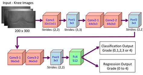 The Network Architecture For Simultaneous Classification And Regression Download Scientific