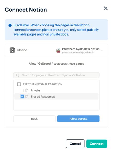 Allowing Access To Notion
