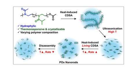 Heat Induced Living Crystallization Driven Self Assembly The Effect Of