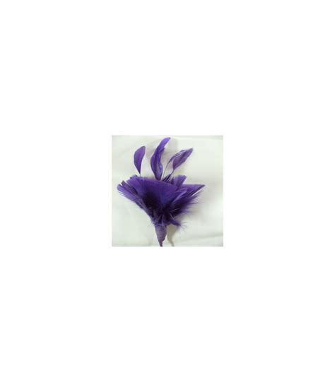 Goose Feathersstripped Rooster Mount Feather Knobs Materials For