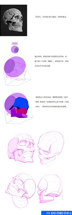 人体结构 花瓣网 陪你做生活的设计师 よいみつき，学画画有用哦！ 学画画超话 绘画素材 绘画教程 人体动态 2广州·广州大学城
