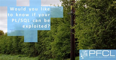 Limited On Linkedin Oracleace Oracle Security Plsql Securecode Sqlinjection